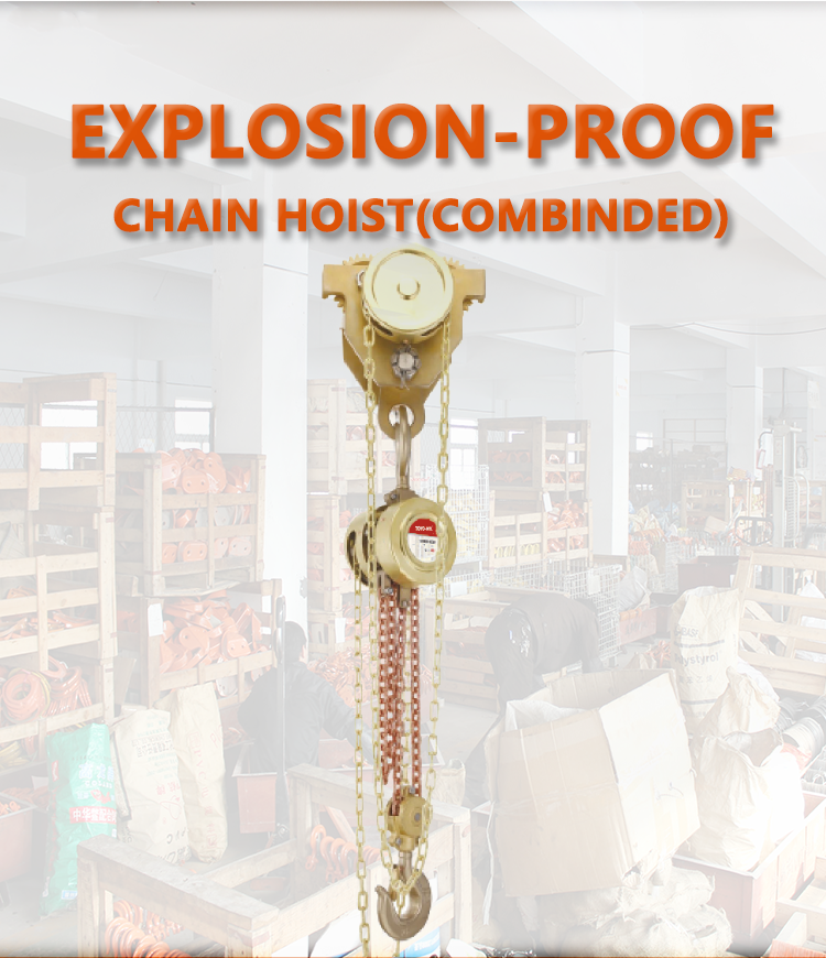 TOYO-INTL TYPE EXPLOSION-PROOF CHAIN HOIST (COMBINDED) GCBL MODEL ...